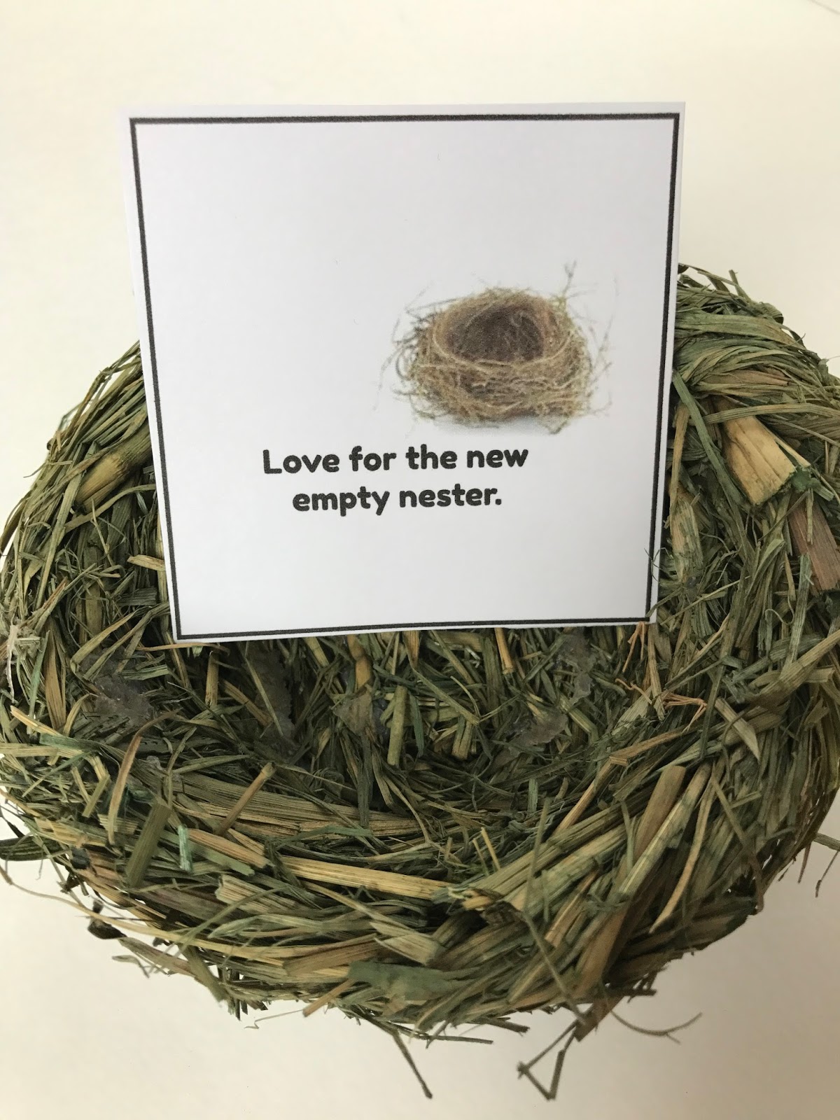 michelle paige blogs: Empty Nester Gift