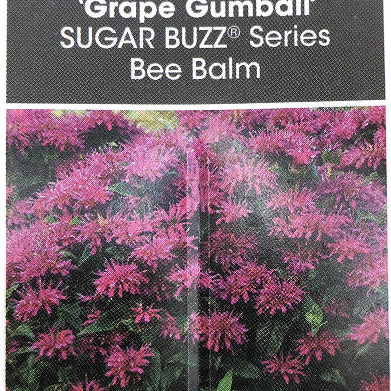 gardens@duke: Spring Plant Sale Preview: Bee Balm