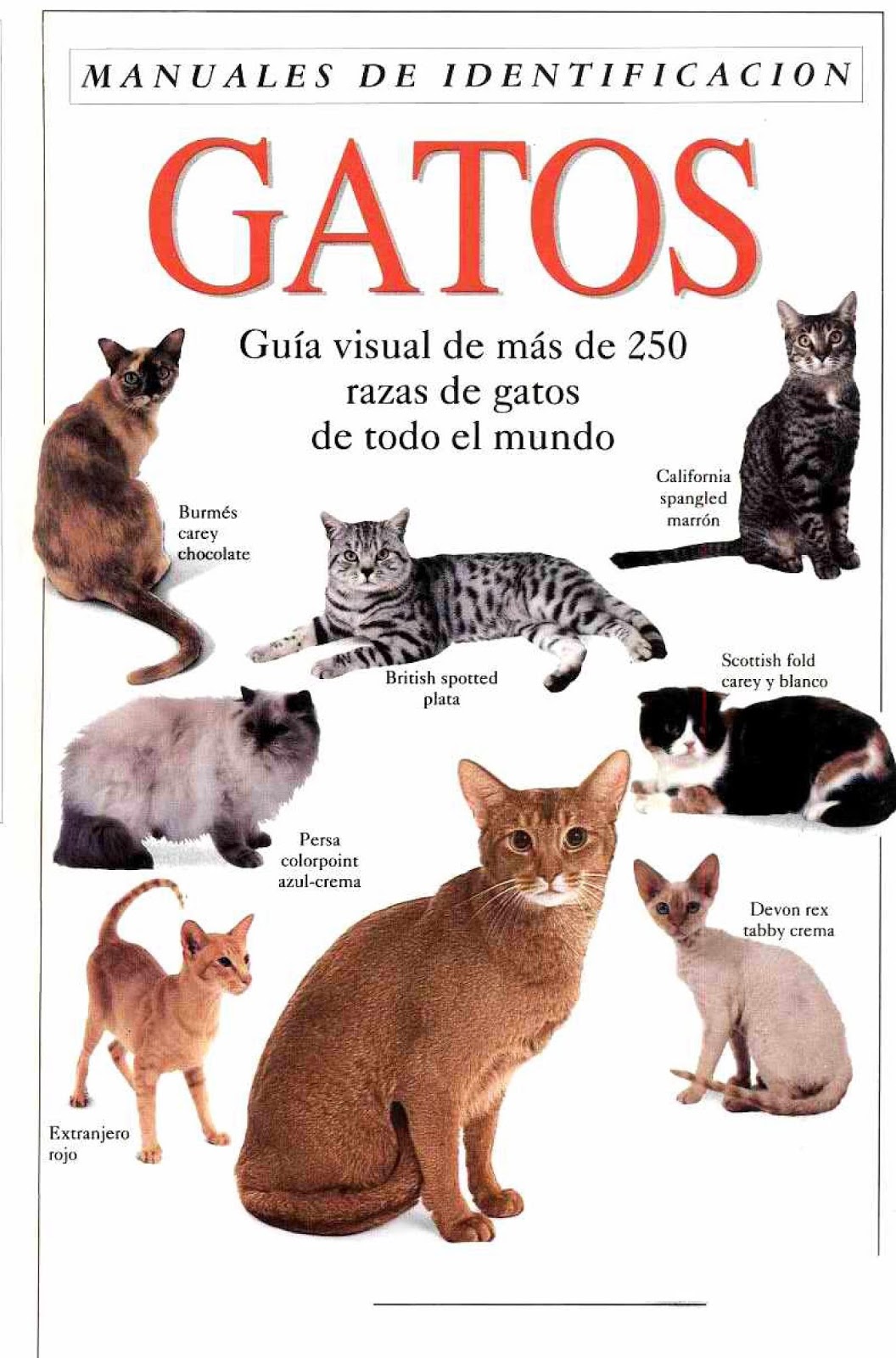 Manuales de identificación de gatos – David Alderton | FreeLibros