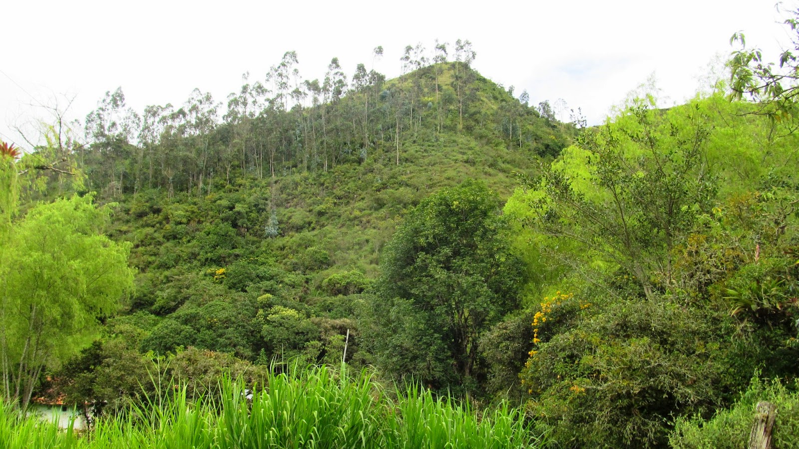 Relieve: El relieve de Cáqueza.
