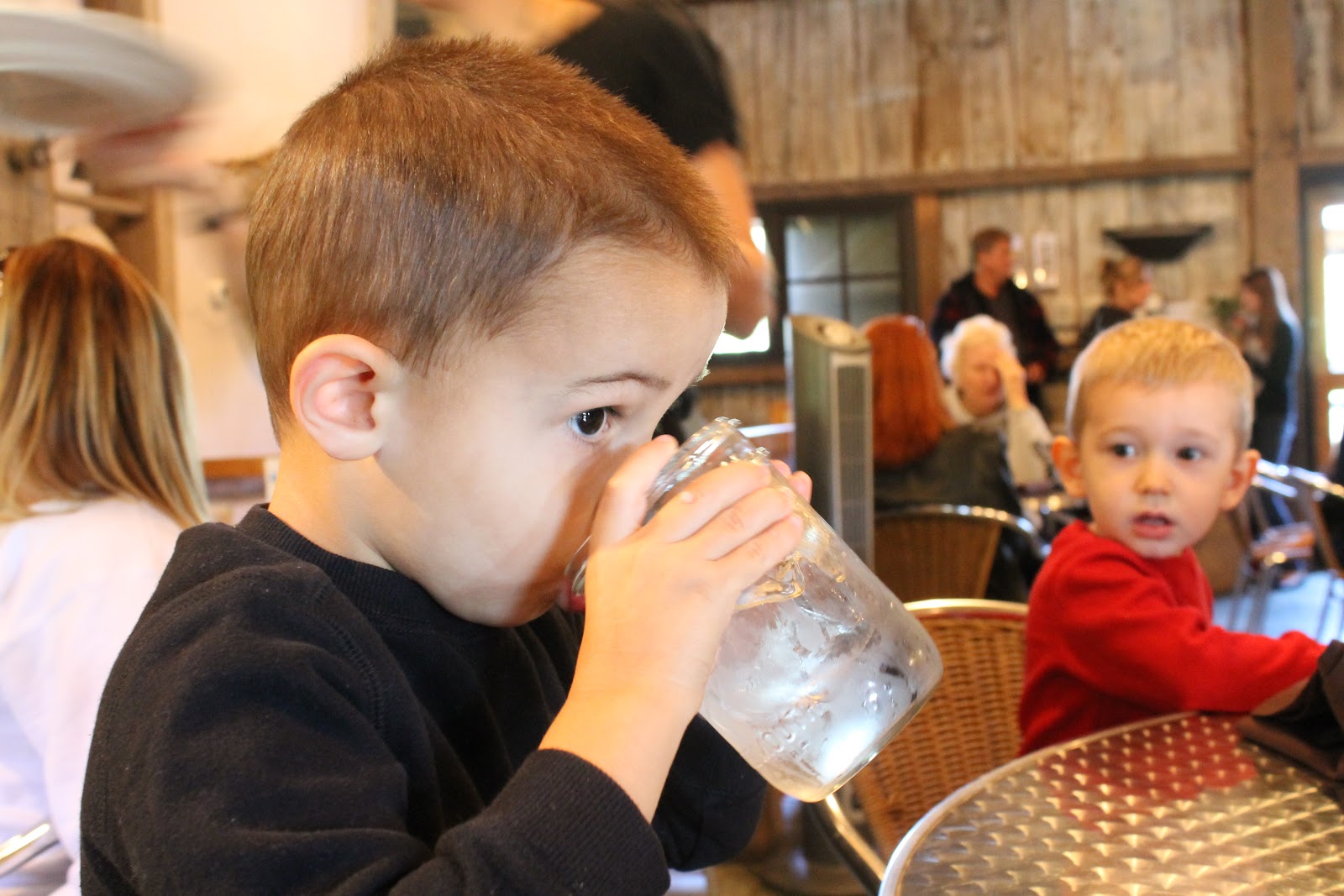 Arrows Sent Forth: Planning a Visit to Trader's Point Creamery