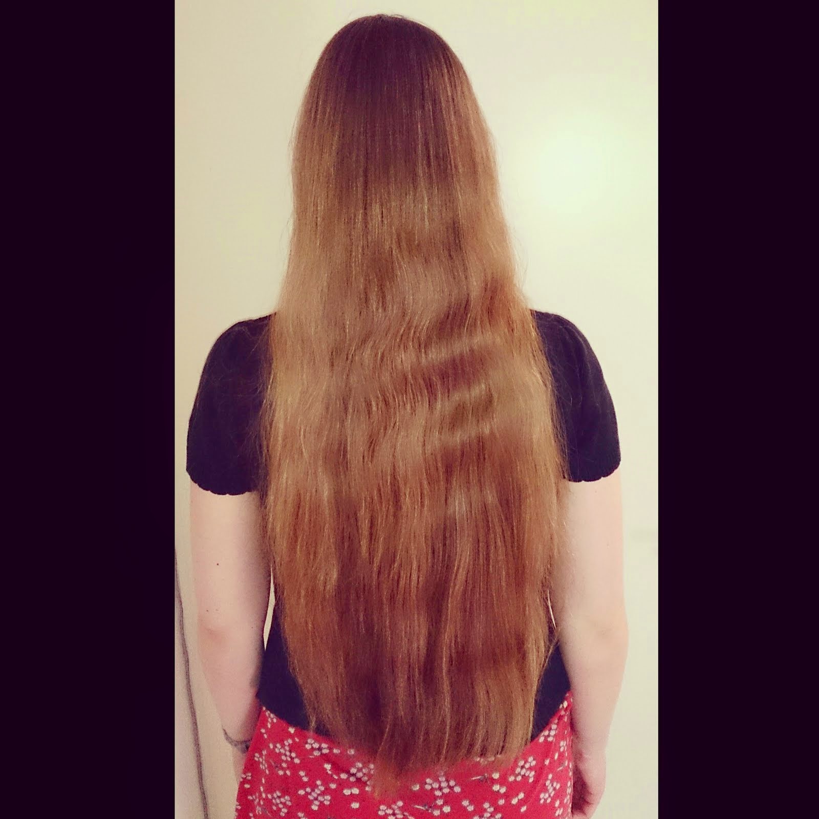 The Savage Garden: a Quest for Beauty : Only Lovers Left Alive