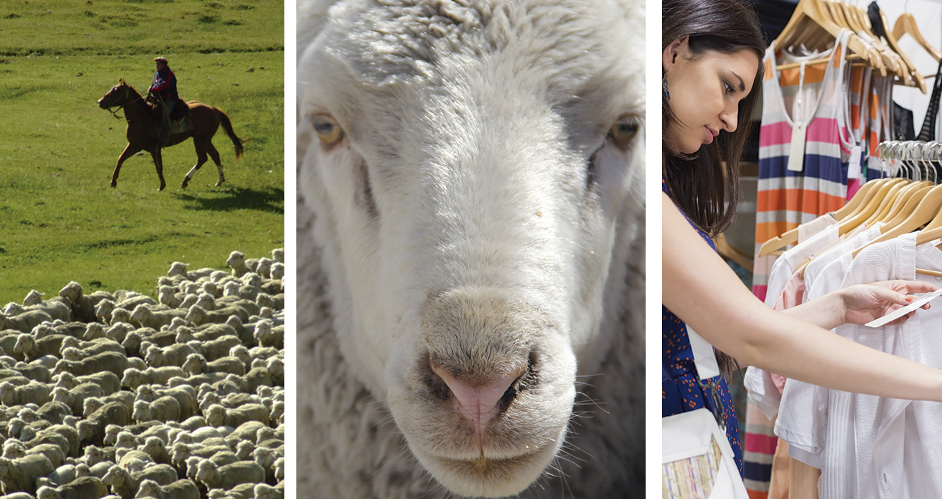 Ovis21: Se amplia el compromiso de la industria textil hacia el ...