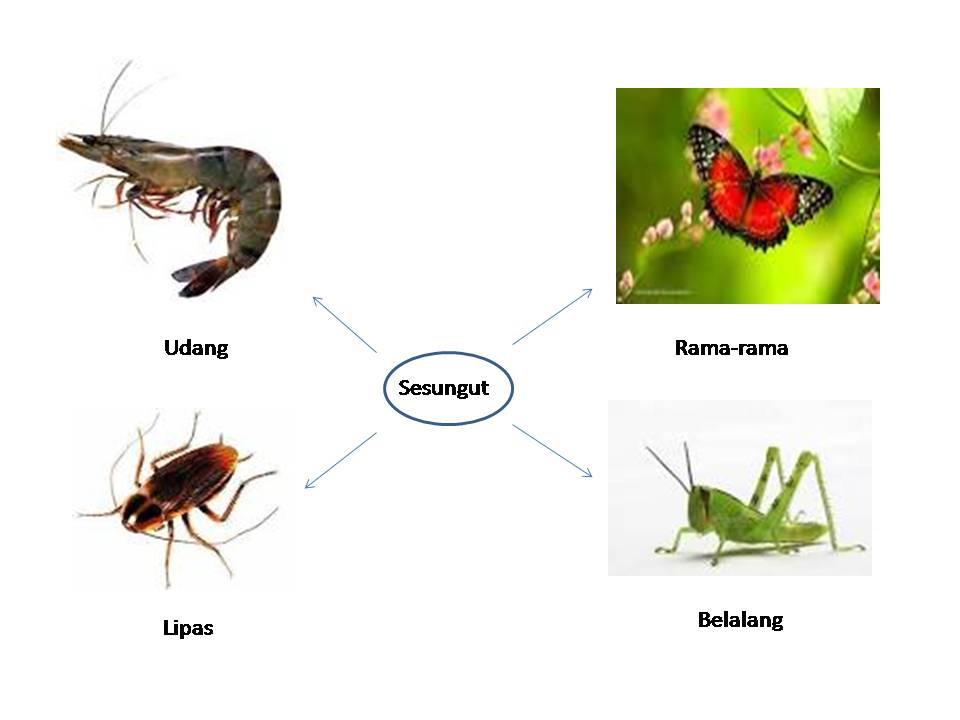 Dunia Sains dan Teknologi Tahun 1 (KSSR): Nota