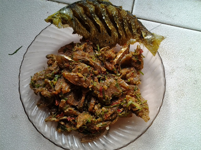 KERABU IKAN KEBASI MENTAH