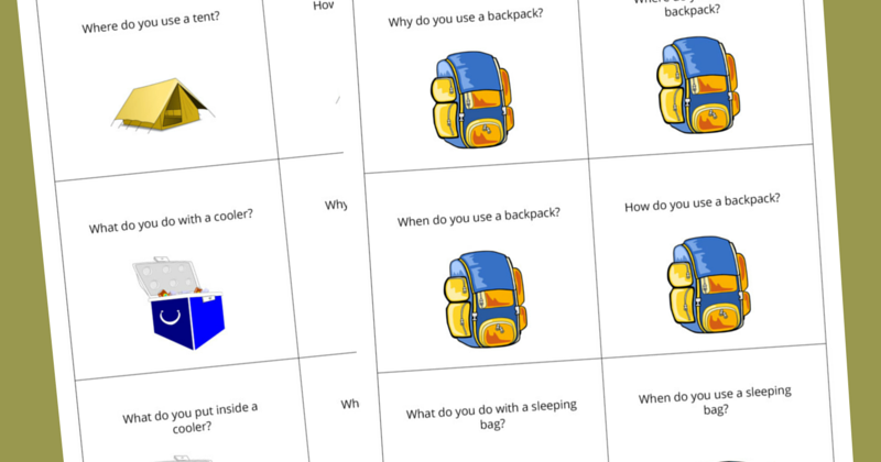 Free Printable Camping Themed WH Question Cards | And Next Comes L ...
