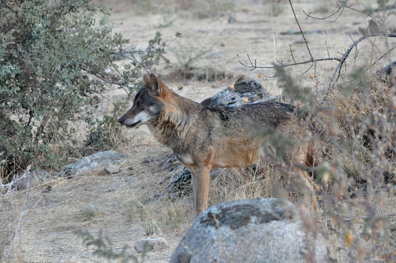 De paseo por la naturaleza