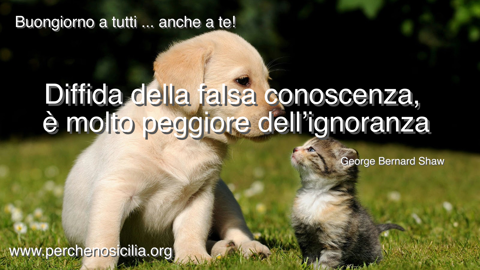 Immagini Buffe Buongiorno