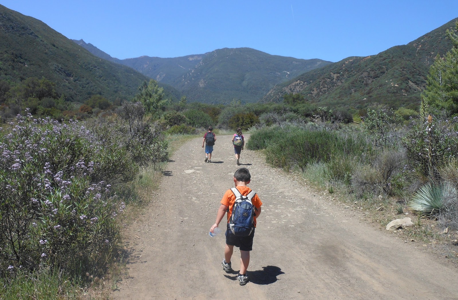 1000 Hikes in 1000 Days: Days 523 & 524: Camping on the Matilija Trail