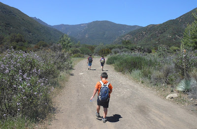 1000 Hikes in 1000 Days: Days 523 & 524: Camping on the Matilija Trail