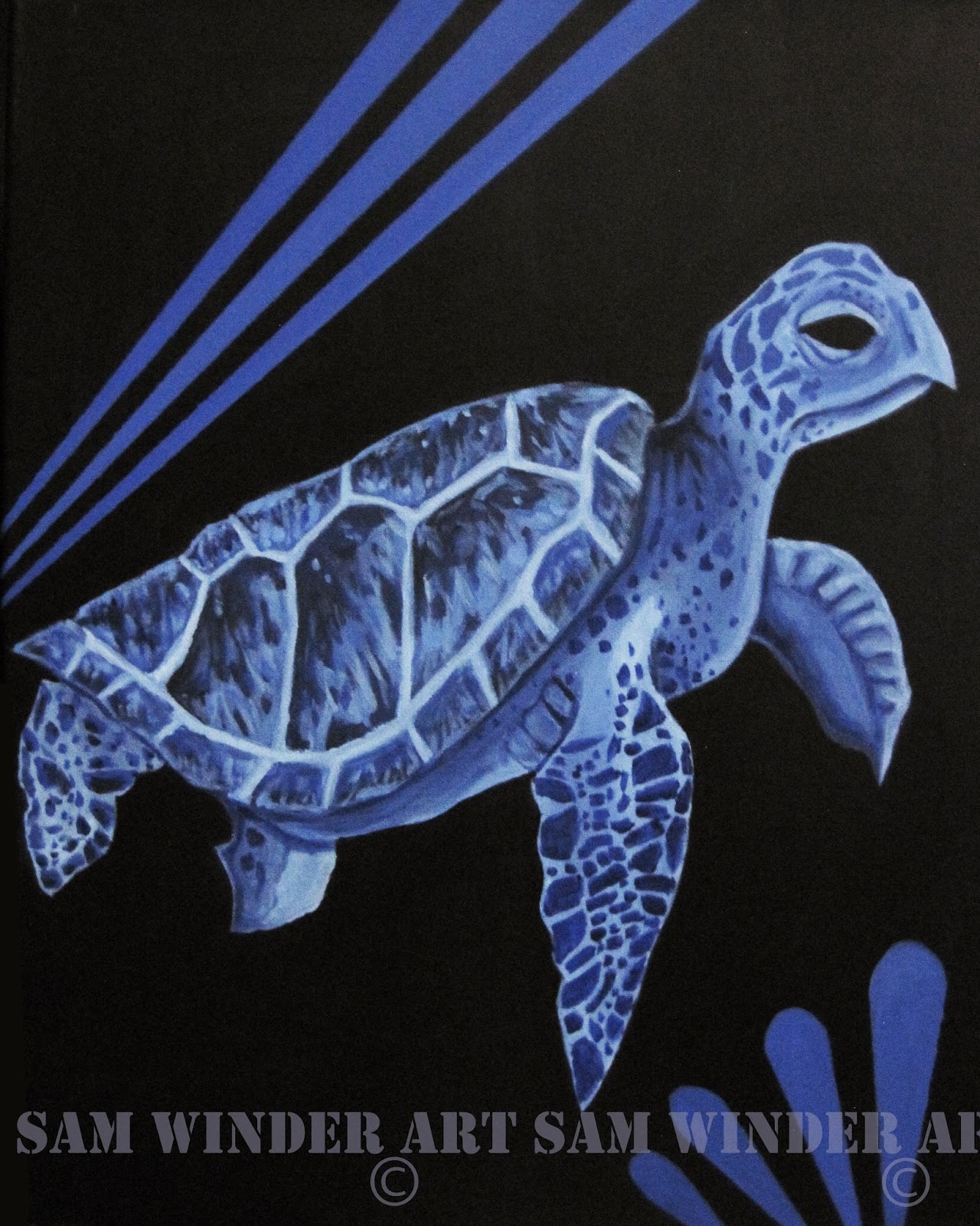 Sam Winder: Turtle Blue Monochromatic