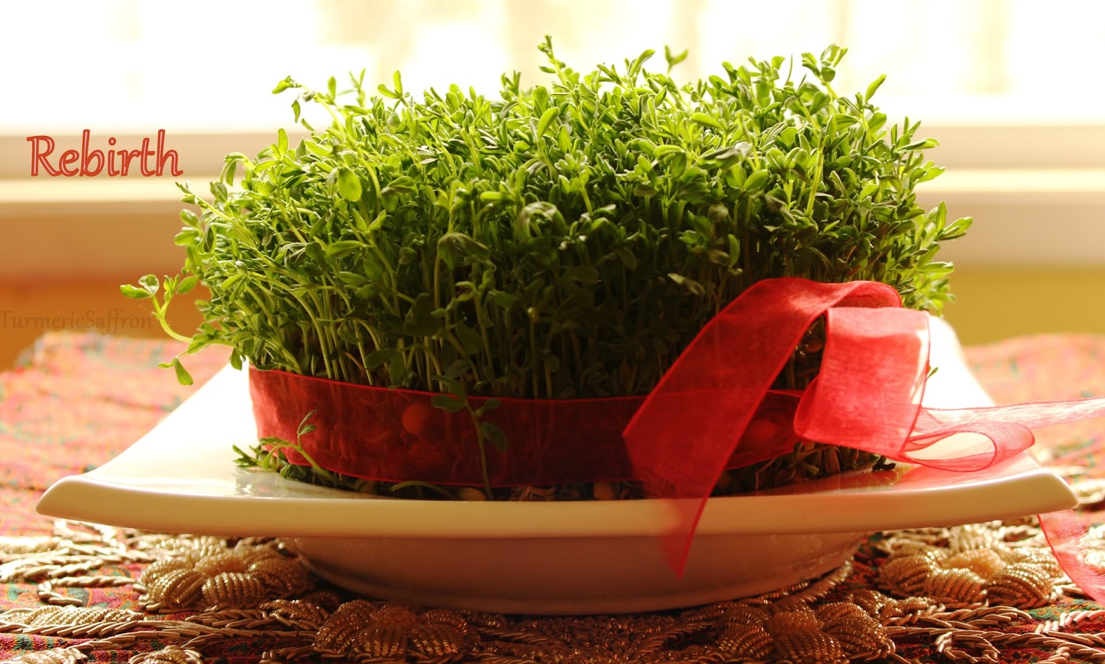 Turmeric & Saffron: Haft Seen Photos - Nowruz 2014