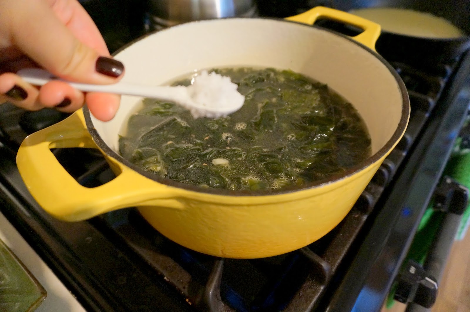 Korean Seaweed Soup | Miyuk Guk (미역국)