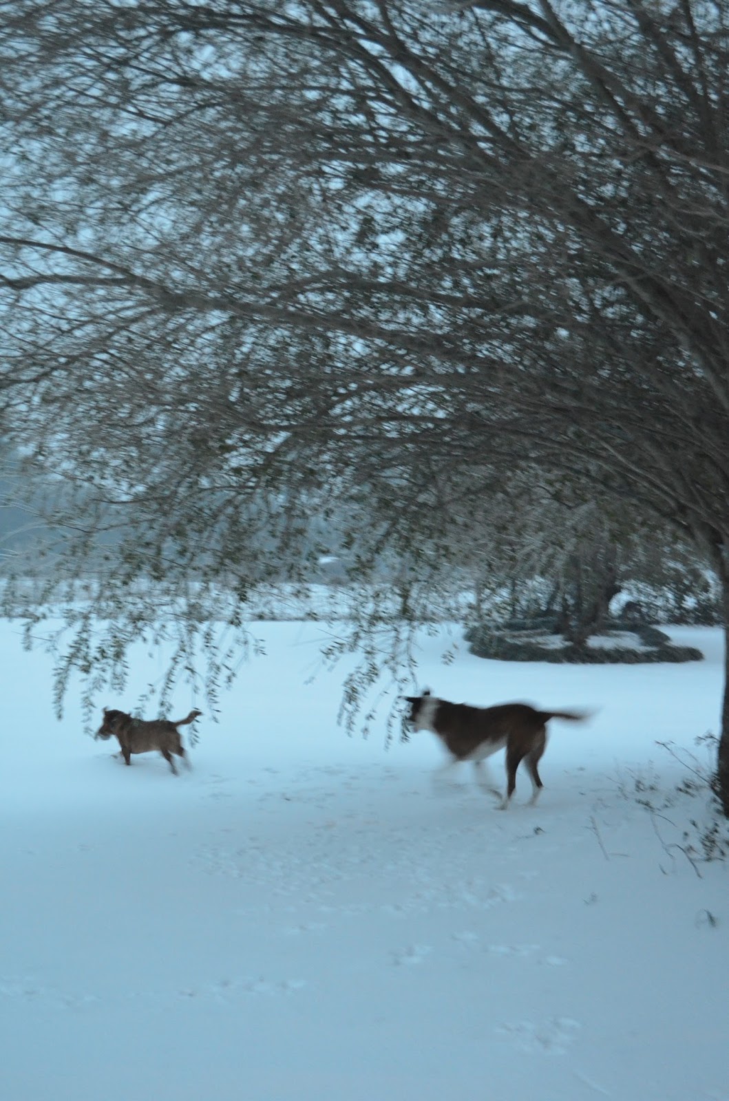 Baseball-Diamonds & Hairspray: Snowpocalypse Feb 2014