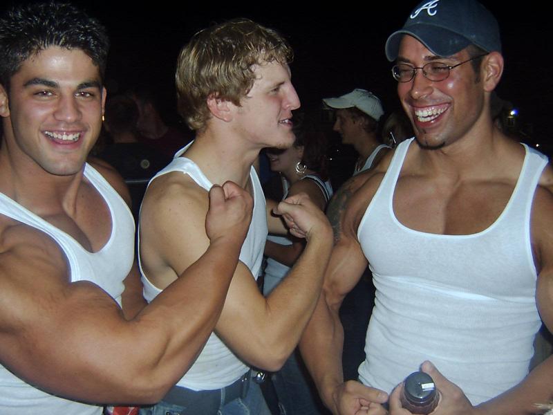 MUSCLANEOUS: Muscle Comparisons