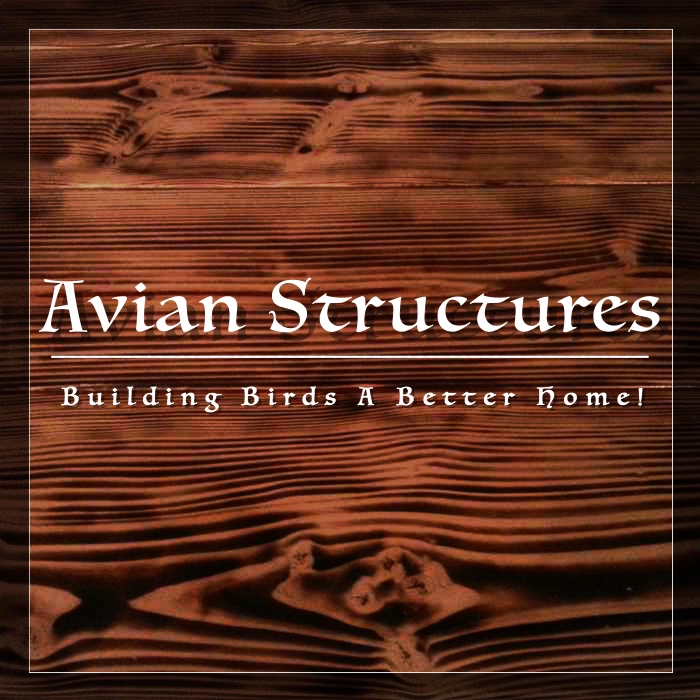 Avian Structures: Florida Built Chicken Coops