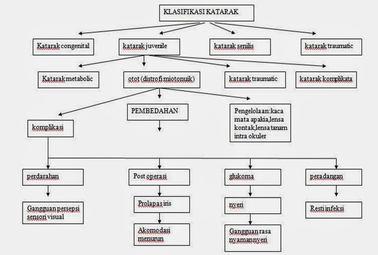 LAPORAN PENDAHULUAN GANGGUAN PENGLIHATAN