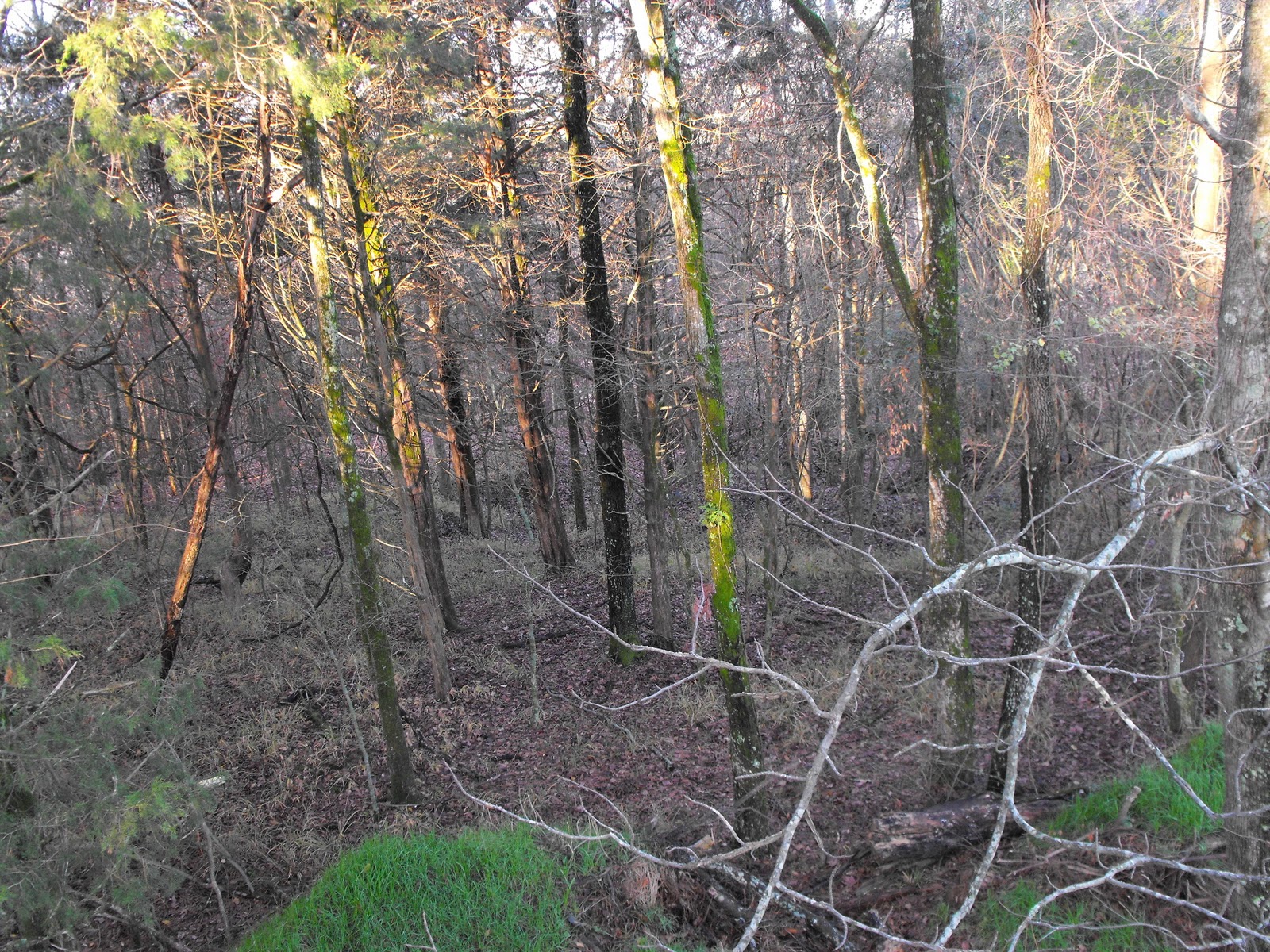 A Spike Camp Hunt | Outdoors | Before It's News