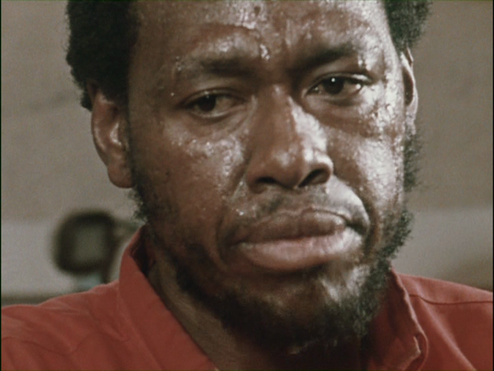 The Department of Afro American Research, Arts and Culture