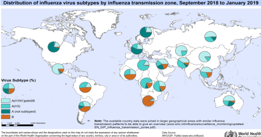 Avian Flu Diary: WHO: (Partial) Recommended Composition Of 2019-2020 ...