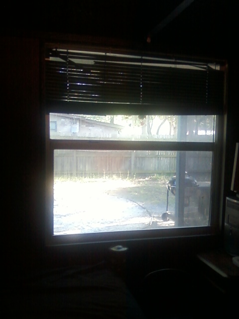 Life in The Dollhouse: Light Effects Window Film