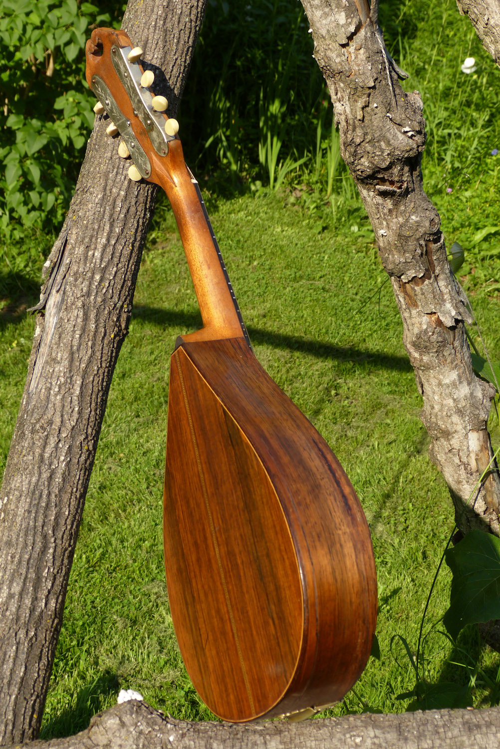 1914 Martin Style B Flatback Mandolin