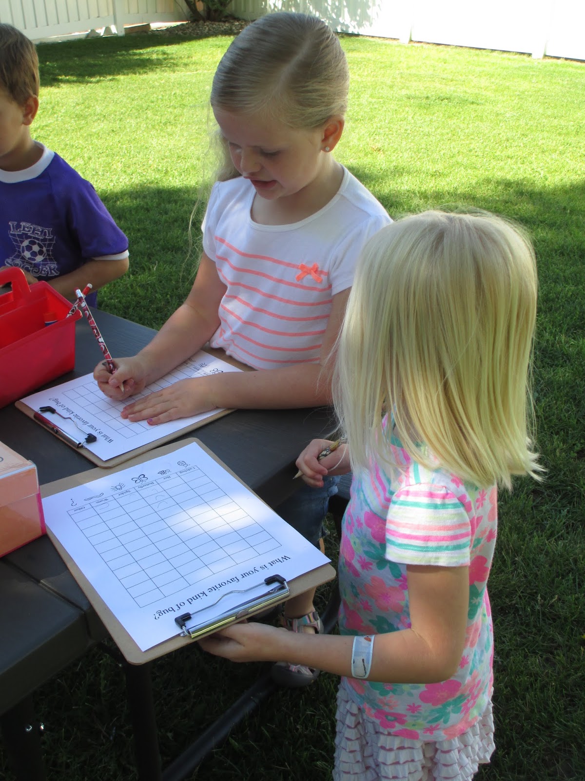 Summer Science Camps: Bug Camp Day 5 - The Culminating Activity