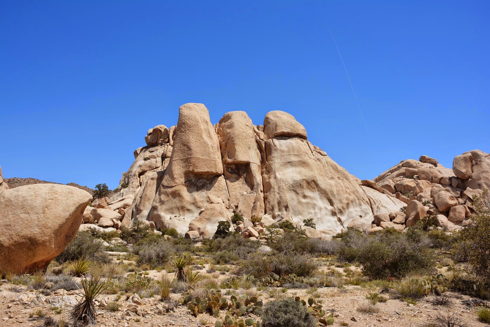 Patrick Tillett: Hollowed Boulder Rock Art - Joshua Tree National Park