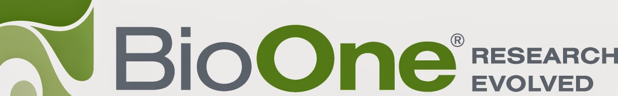 Biblioteca: PORTAL CAPES