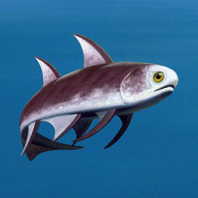 PaleoStories: Coming soon: "Occhio alle spine: a tu per tu con gli ...