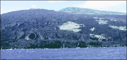 Galapagos Ecotourism and Responsible Travel: The Blog: Pinta Island ...