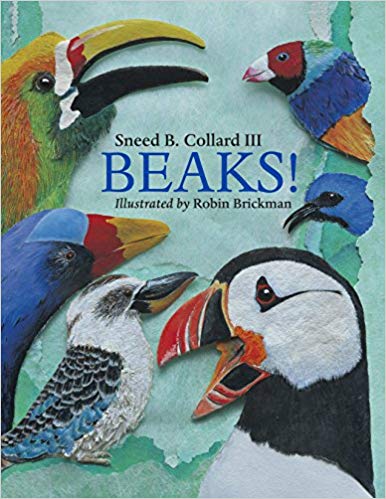 Bird Beak Stations - The Science School Yard