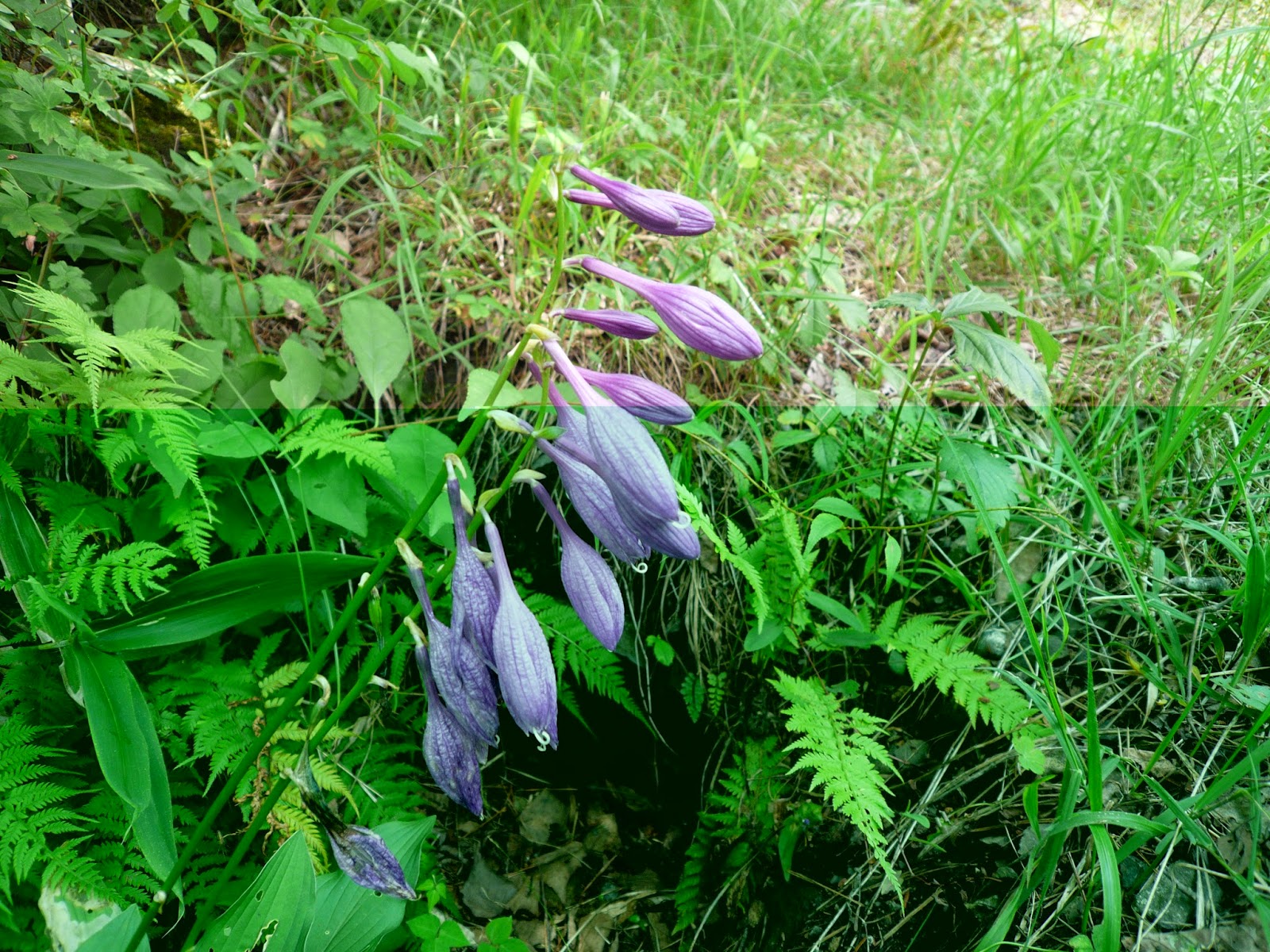 Fujifabric International Fan Site: 「FAB BOX」&「SINGLES 2004-2009」2014復刻版 ...