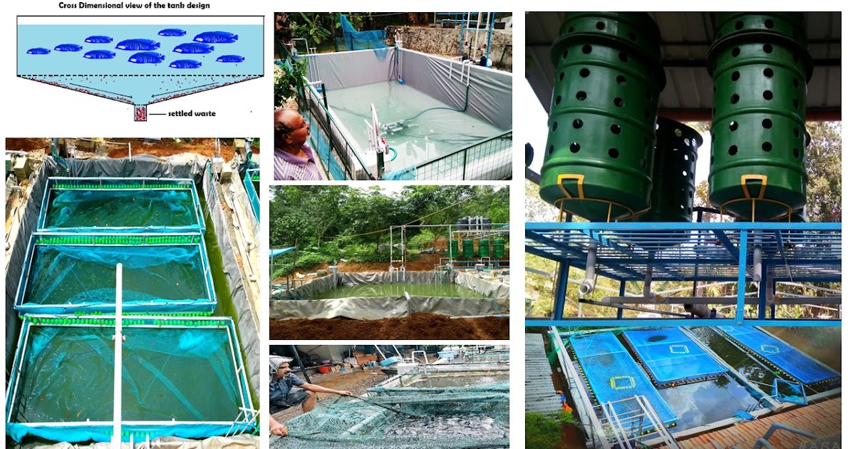 NFDB_PROJECTS: BACKYARD_RAS_PROJECT