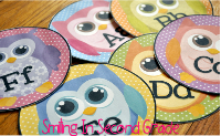 Smiling in Second Grade: Whooo Likes Owls?