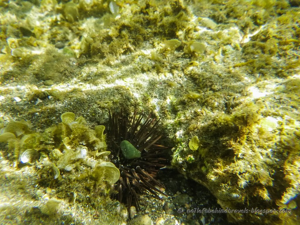 No one left behind: The Dingalan Redemption - Day 2: Matawe Beach