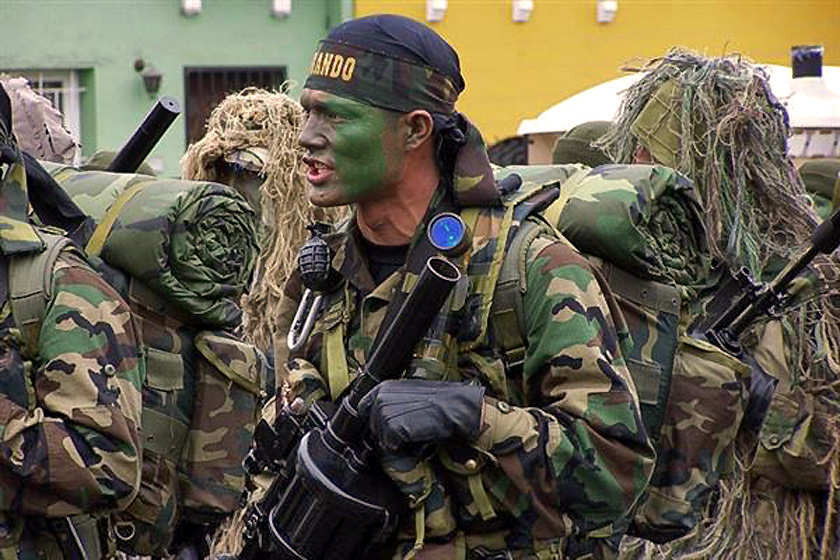 LA GUERRA DEL CENEPA: LA GUERRA DEL CENEPA