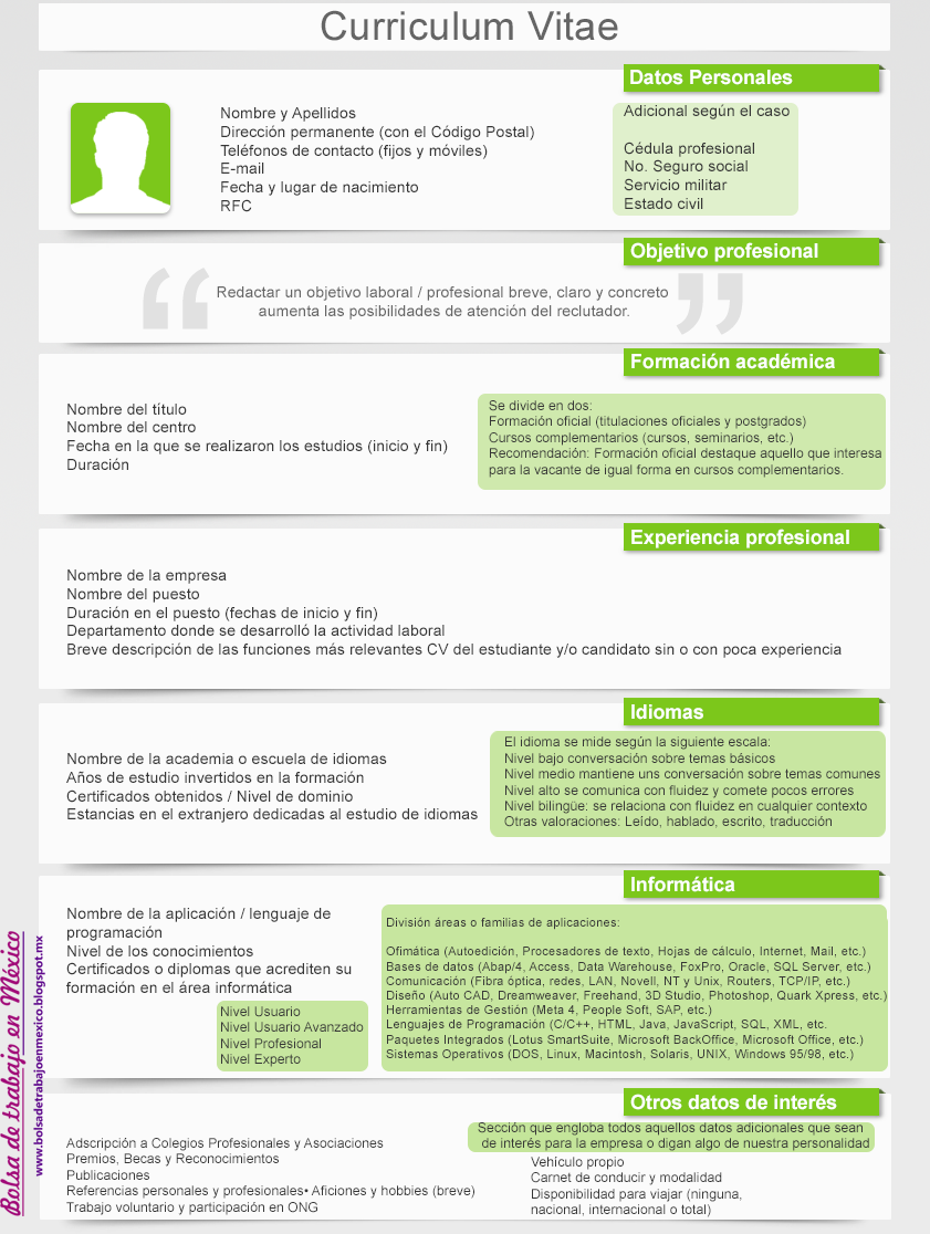 Bolsa de trabajo en México: Ejemplo de Curriculum Vitae | Estructura y ...