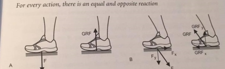 What are the optimal biomechanical principles of long jump?