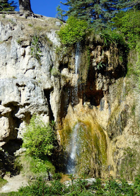 Greg's Running Adventures: Bluff Springs Lincoln National Forest