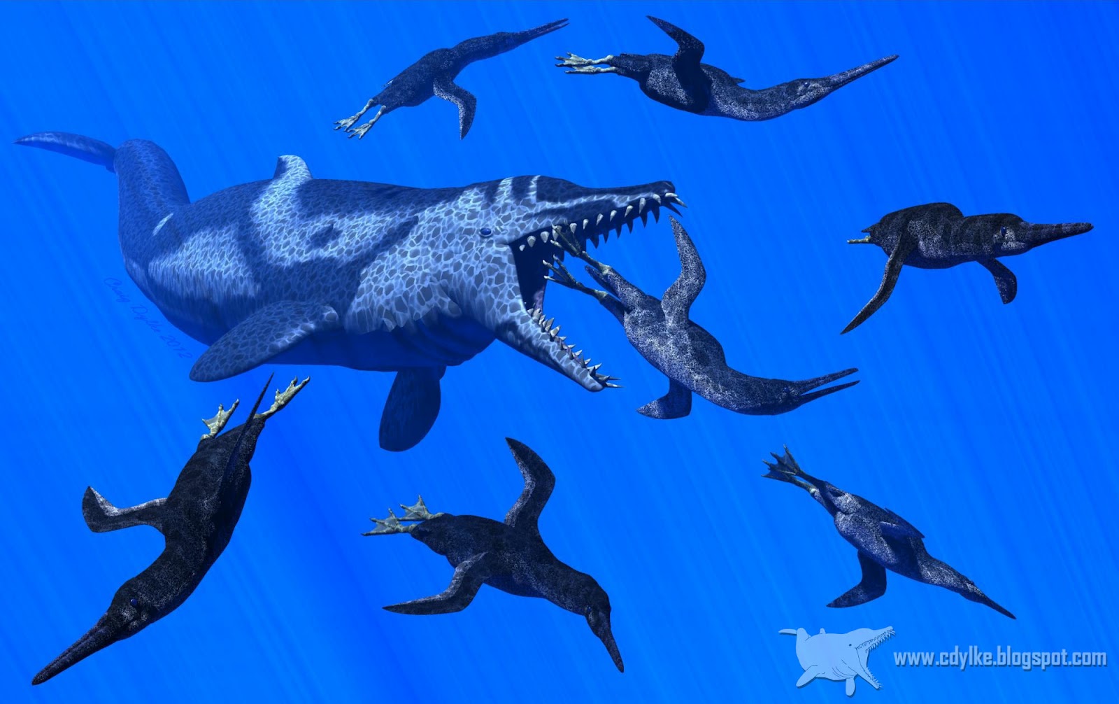 Craig Dylke's Prehistoric Art: Squalodon Orca of the Oligocene 2012