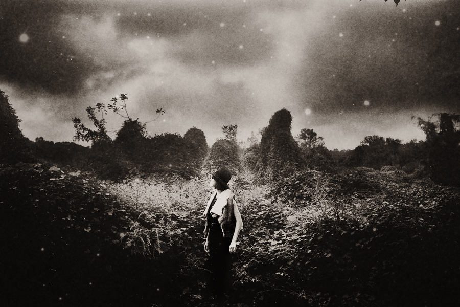 Appendage: Alison Scarpulla - Photography