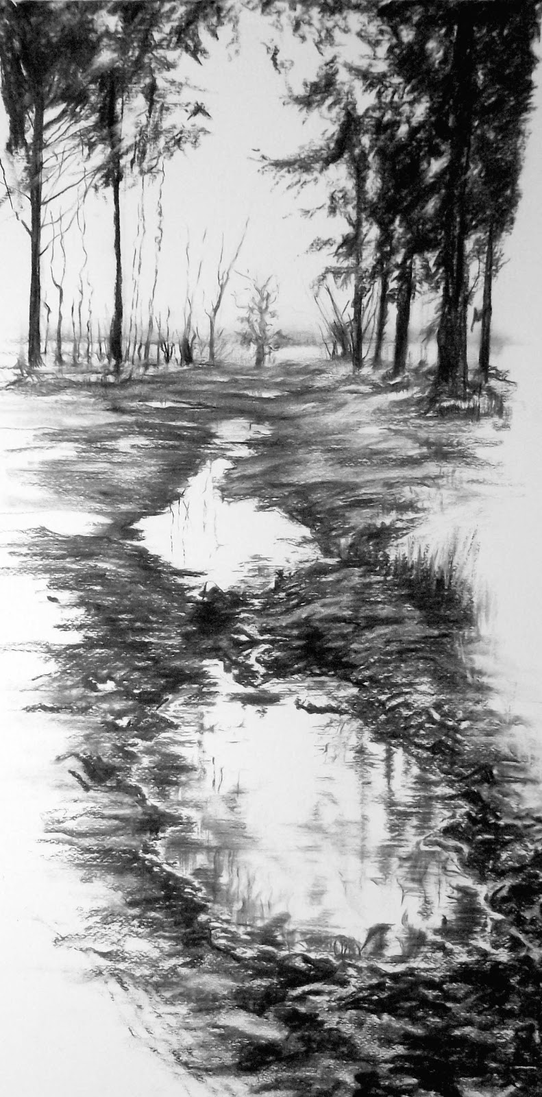 Wendy Rhodes - Artist: Rainy charcoal challenges