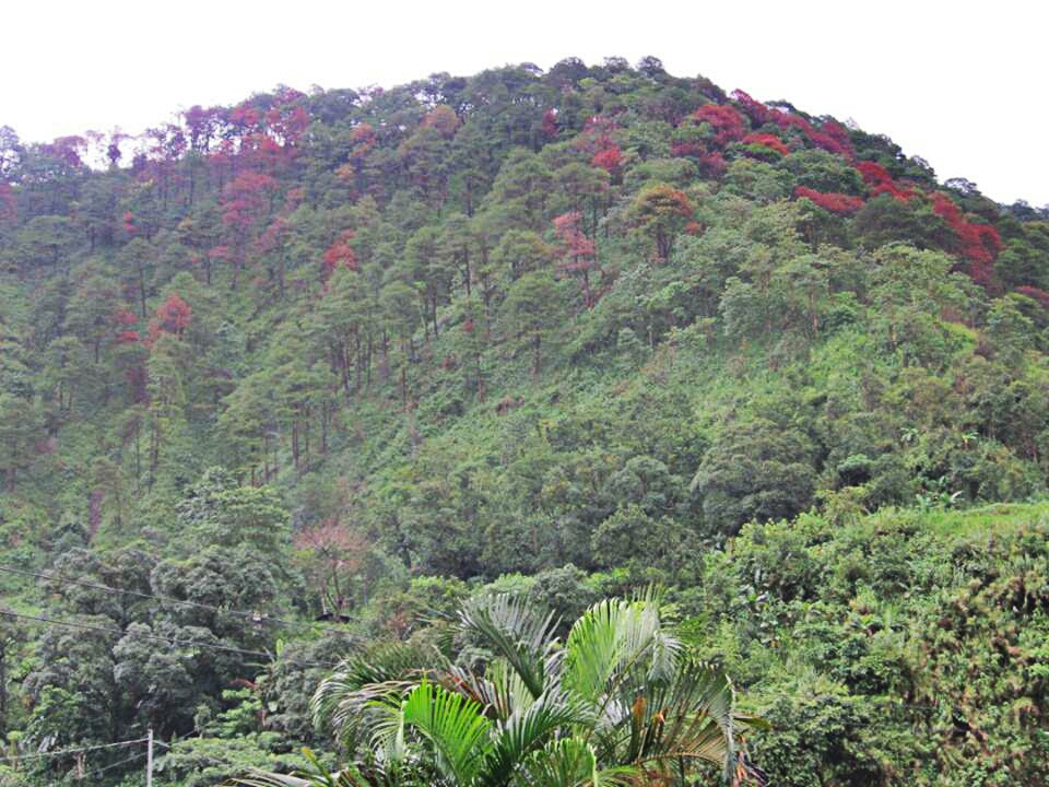 Travel with Life: Itogon Hot Spring, Benguet