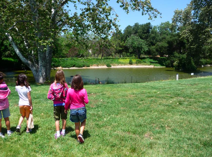 Mrs. Yollis' Classroom Blog: Field Trip Photos for Student Blogger Use