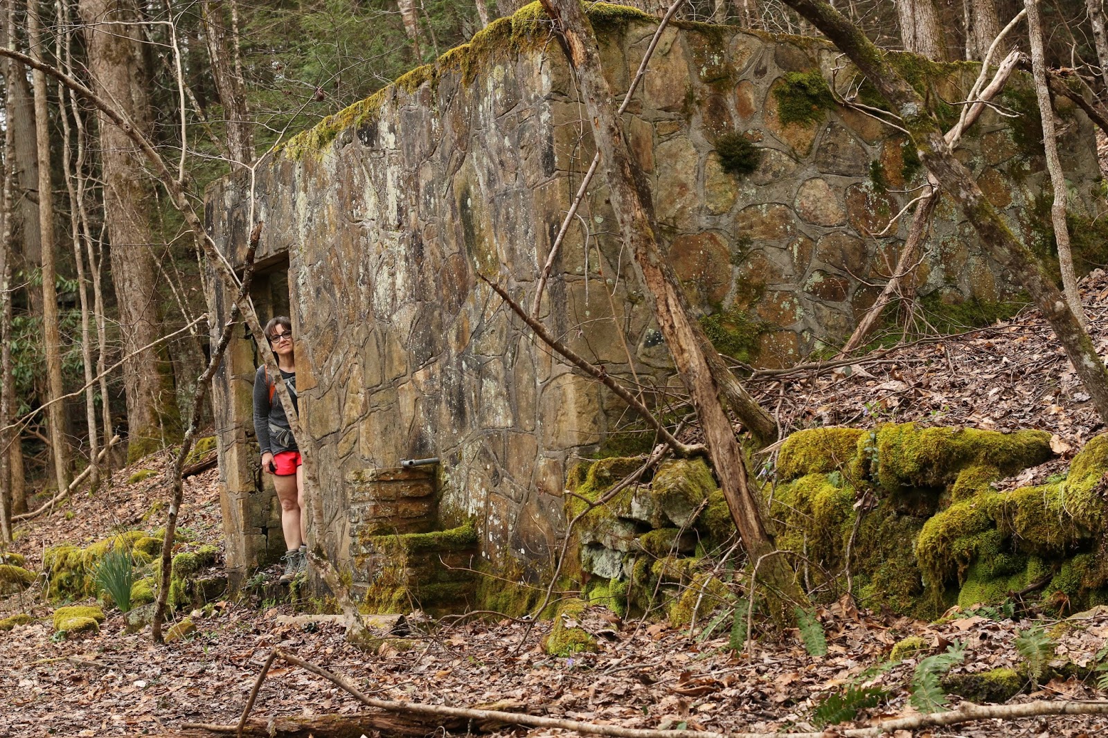Nomadic Newfies: First Trillium Sighting on the Blue Bend Loop