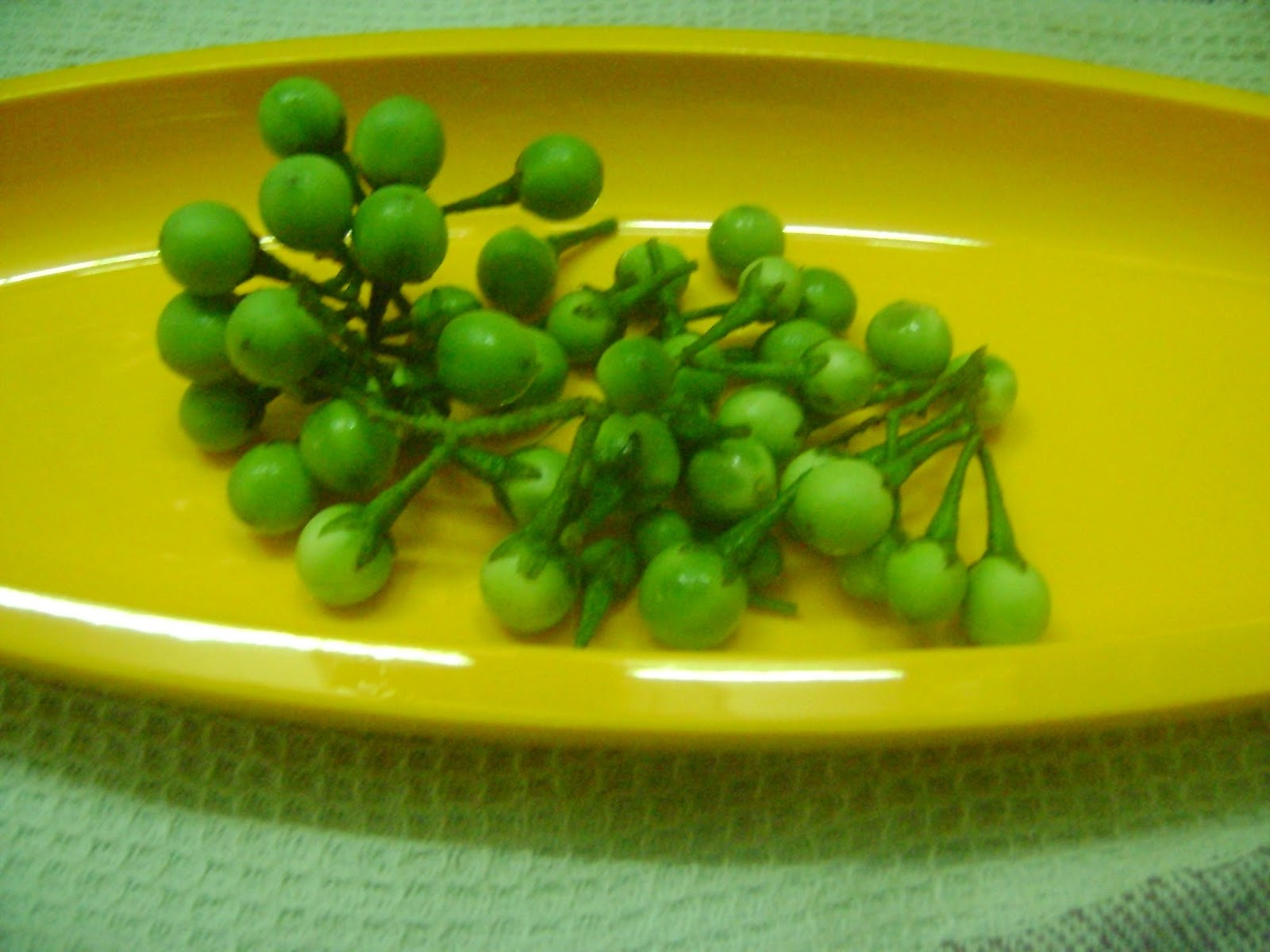 Raji Ramakrishnan : CHUNDAKKAI PORICHAKUZHAMBU (Turkey berry)