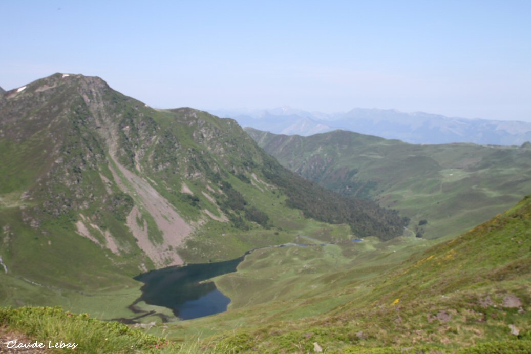 fourmis des Pyrénées: HAUTACAM