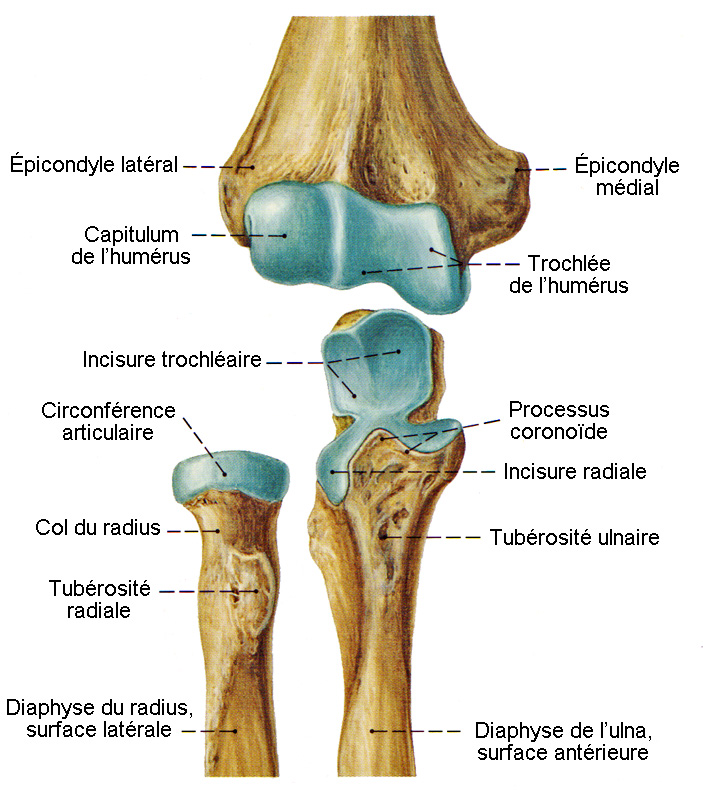 Un Jour En Chirurgie Orthopedique Et Traumatologique: Fracture rare du ...