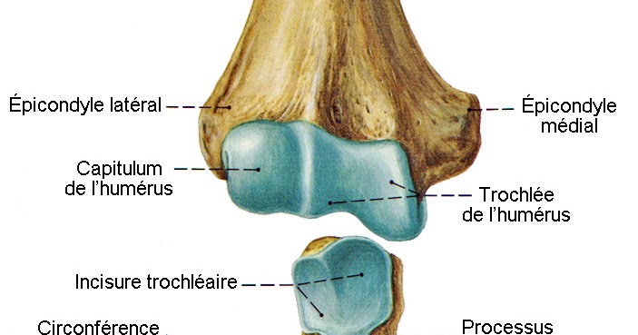 Un Jour En Chirurgie Orthopedique Et Traumatologique: Fracture rare du ...